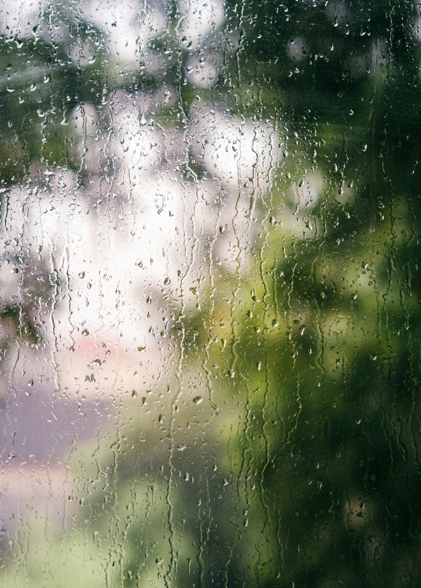 Waiting, a poem – Laura writes…